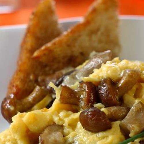 286 Recetas de Setas - Gallina Blanca